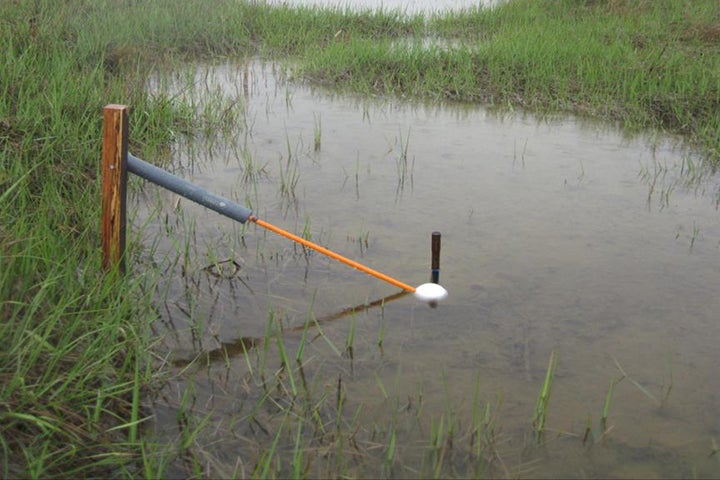 Transfer of a Low-cost Tidal Wetland Water Level Monitoring System ...