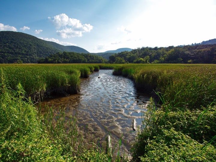 Assessing the Effects of Storm Surge Barriers on the Hudson River ...
