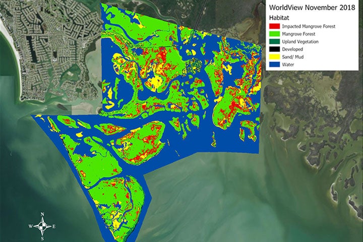 Using Advanced Mapping to Measure Changes in Mangrove Habitat over Time ...