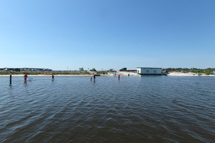 Using Collaborative Open Science Tools to Improve Engagement with the ...