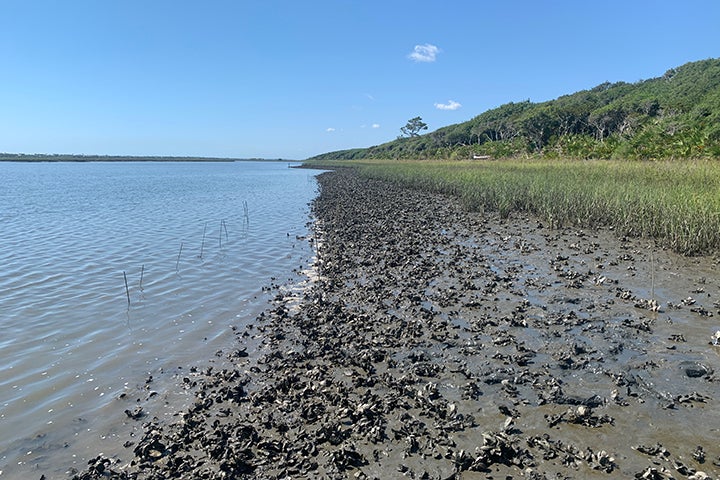 Using Collaborative Open Science Tools to Improve Engagement with the ...