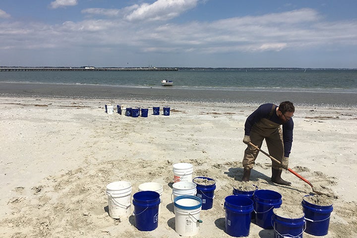 Thin-Layer Sediment Placement: Evaluating an Adaptation Strategy to ...