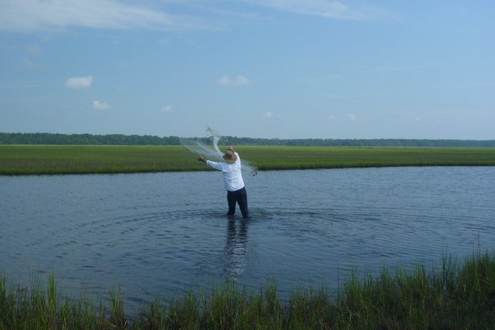 Incorporating Environmental Variability into Ecosystem-Based Management ...