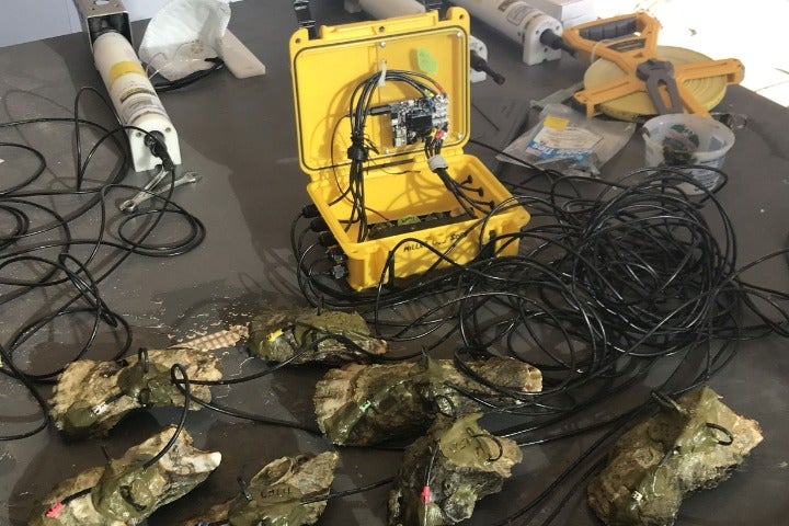 Habitat heartbeats: Incorporating bivalve biosensors into estuary ...