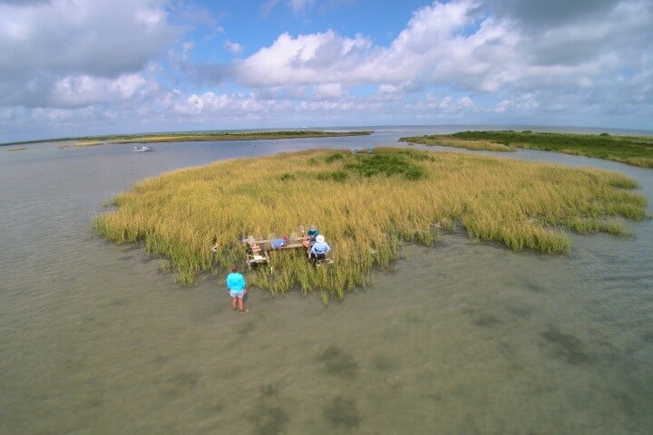 Bringing Wetlands to Market on the Gulf Coast | National Estuarine ...