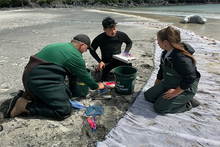 Assessing Research Efforts and Emerging Issues Concerning Forage Fish ...