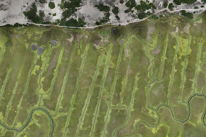 Evaluating the Impact of Hydrologic Alterations on Salt Marsh ...