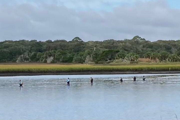 Using Collaborative Open Science Tools to Improve Engagement with the ...