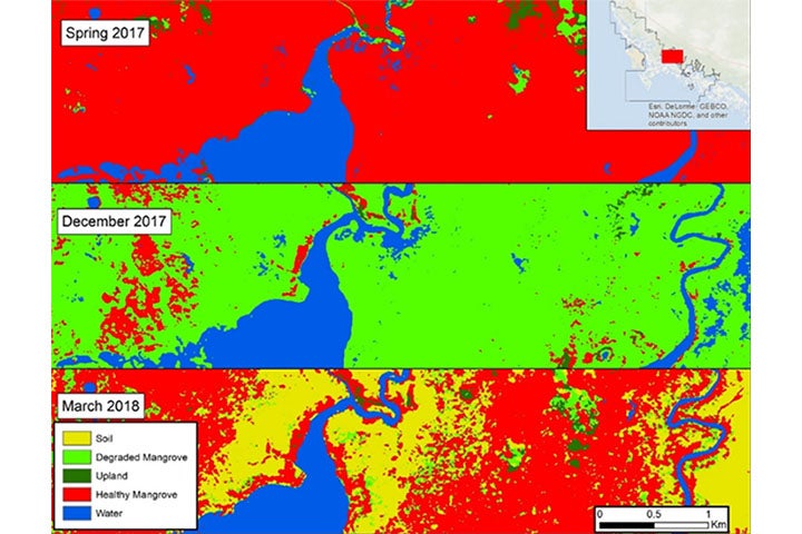 Using Advanced Mapping to Measure Changes in Mangrove Habitat over Time ...