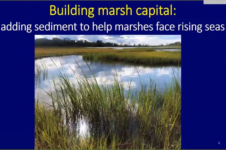 Building Marsh Capital Webinar | National Estuarine Research Reserve ...