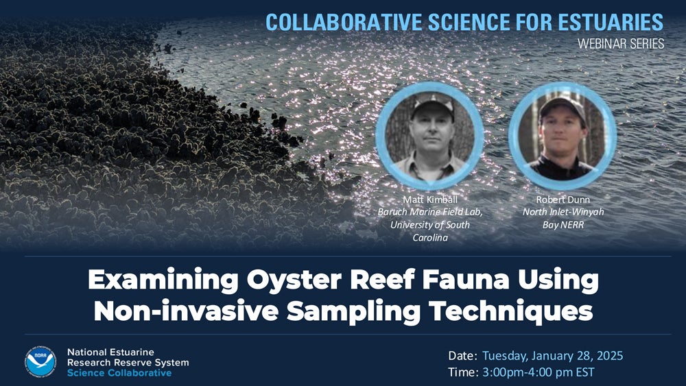 Examining Oyster Reef Fauna Using Non-invasive Sampling Techniques ...