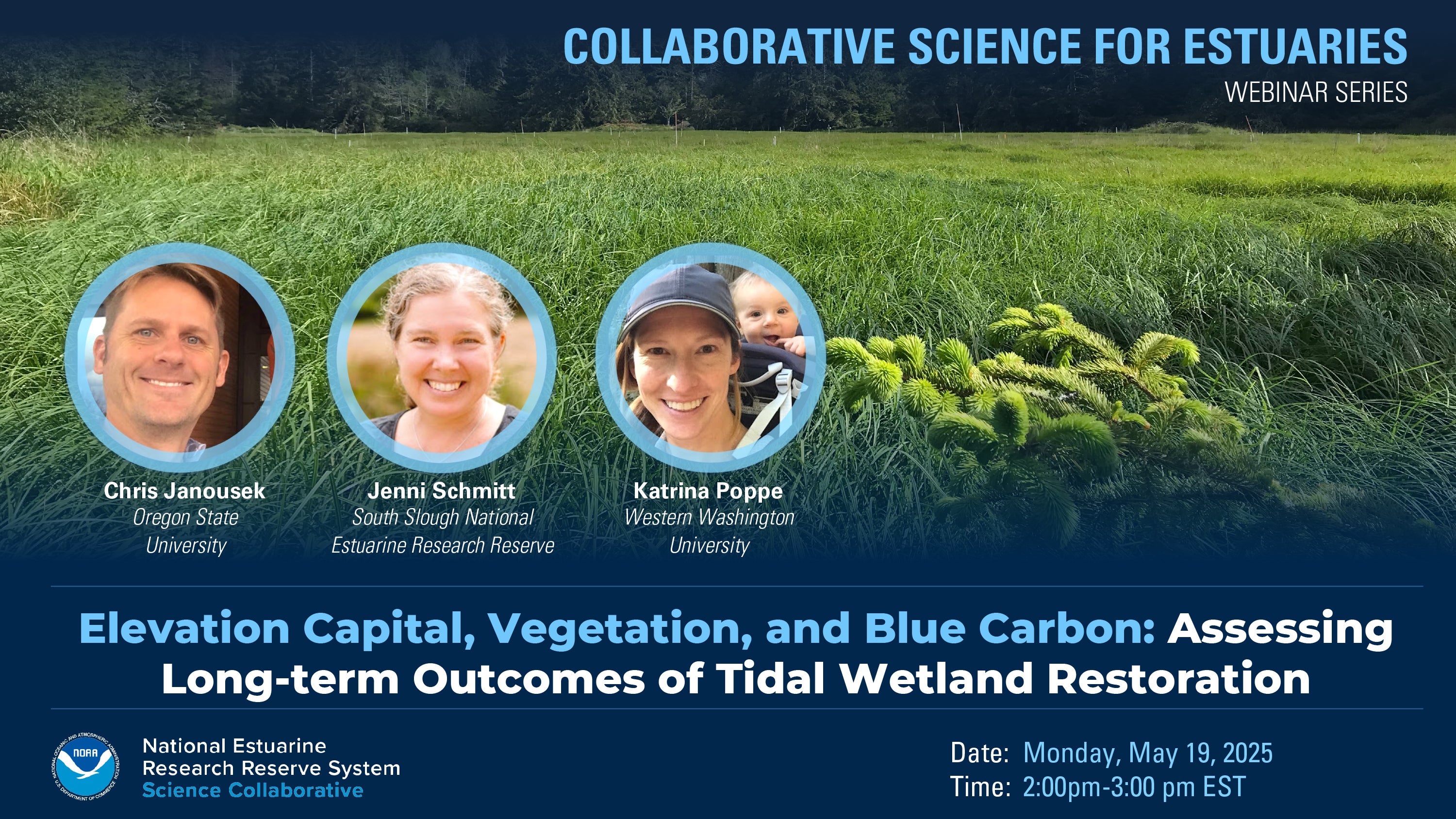 Elevation Capital, Vegetation, and Blue Carbon: Assessing Long-term ...