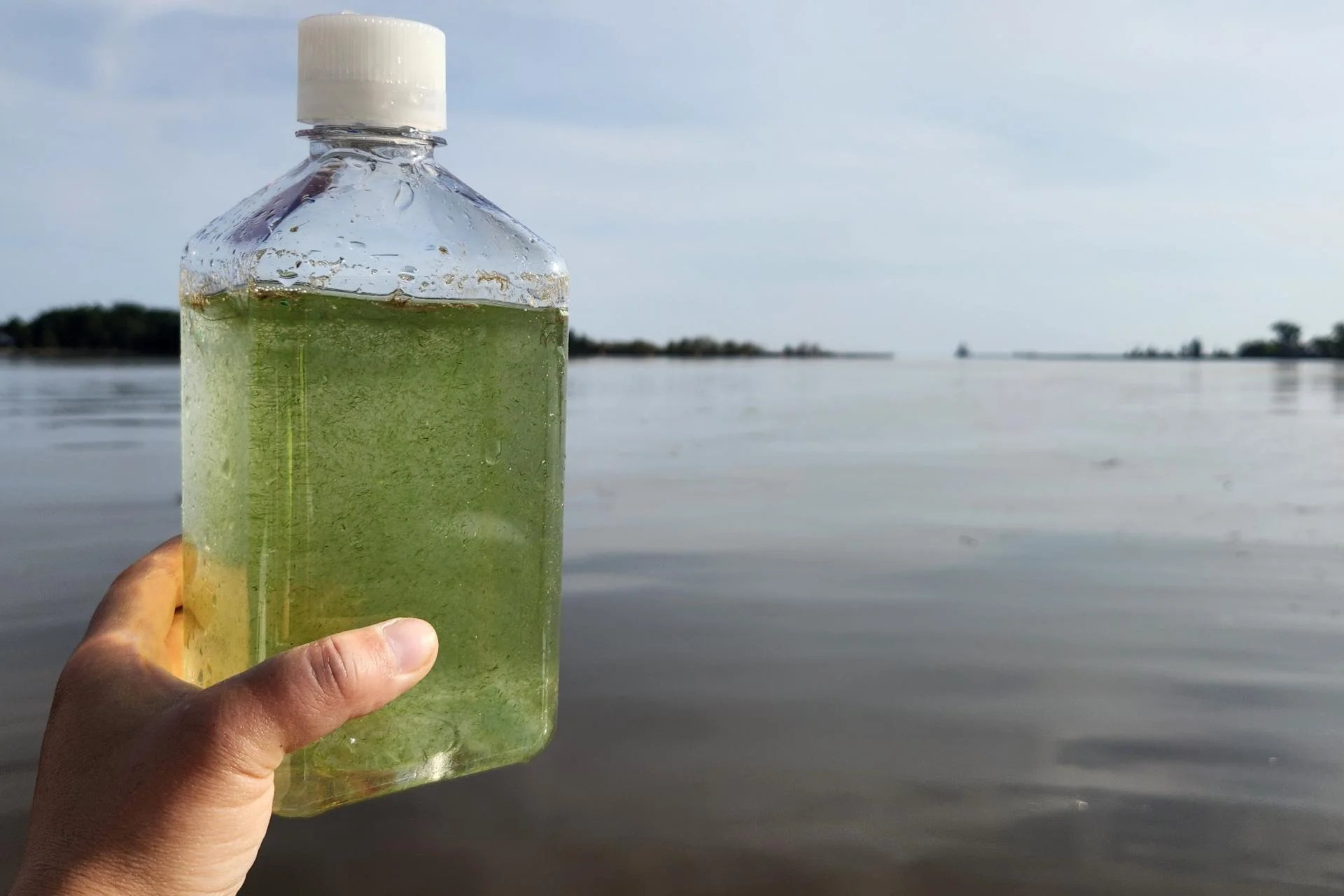 Building a Collaborative Water Quality Monitoring Strategy for a ...