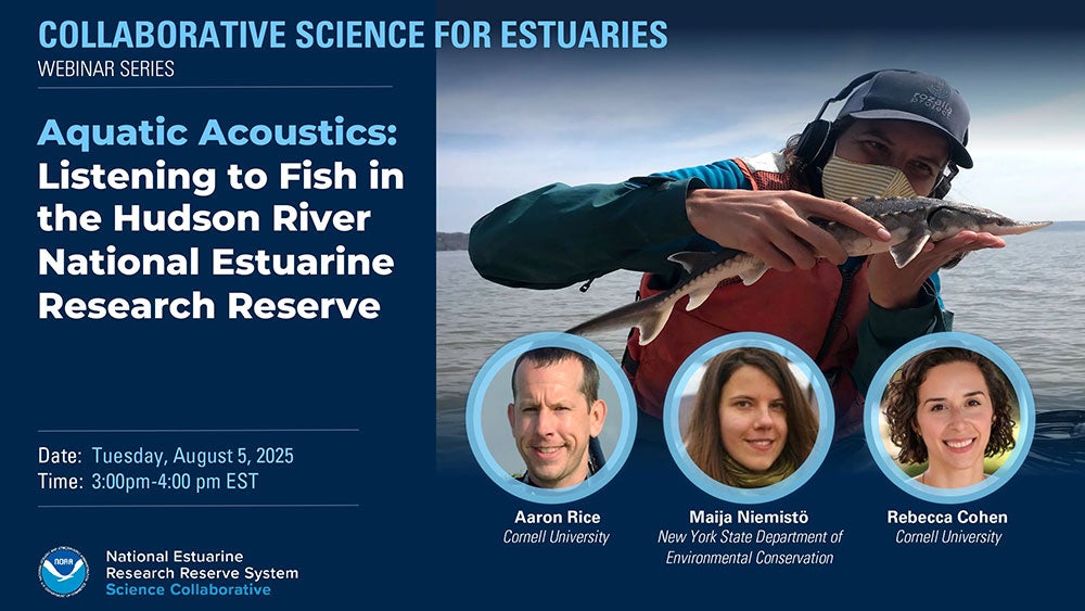 Aquatic Acoustics: Listening to Fish in the Hudson River National ...