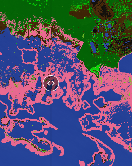 Habitat Cover Maps for Rookery Bay and Jobos Bay | NERRS Science ...