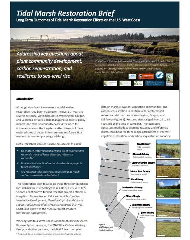 Tidal Marsh Restoration Brief | NERRS Science Collaborative