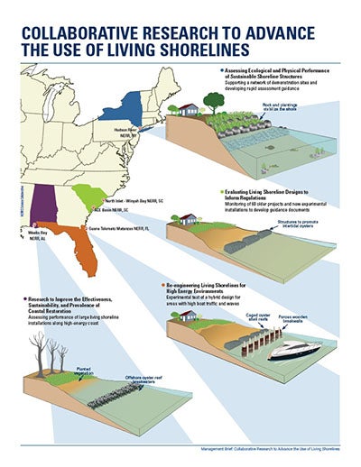 Collection: Living Shorelines | NERRS Science Collaborative