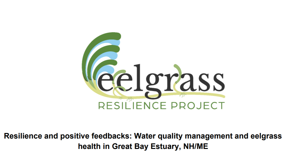 Reports on Resilience and Positive Feedbacks: Water quality management ...