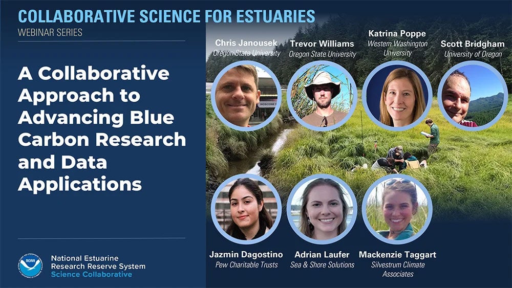 A Collaborative Approach to Advancing Blue Carbon Research and Data ...
