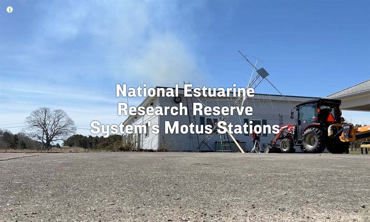 NERRS Motus Stations StoryMap | NERRS Science Collaborative
