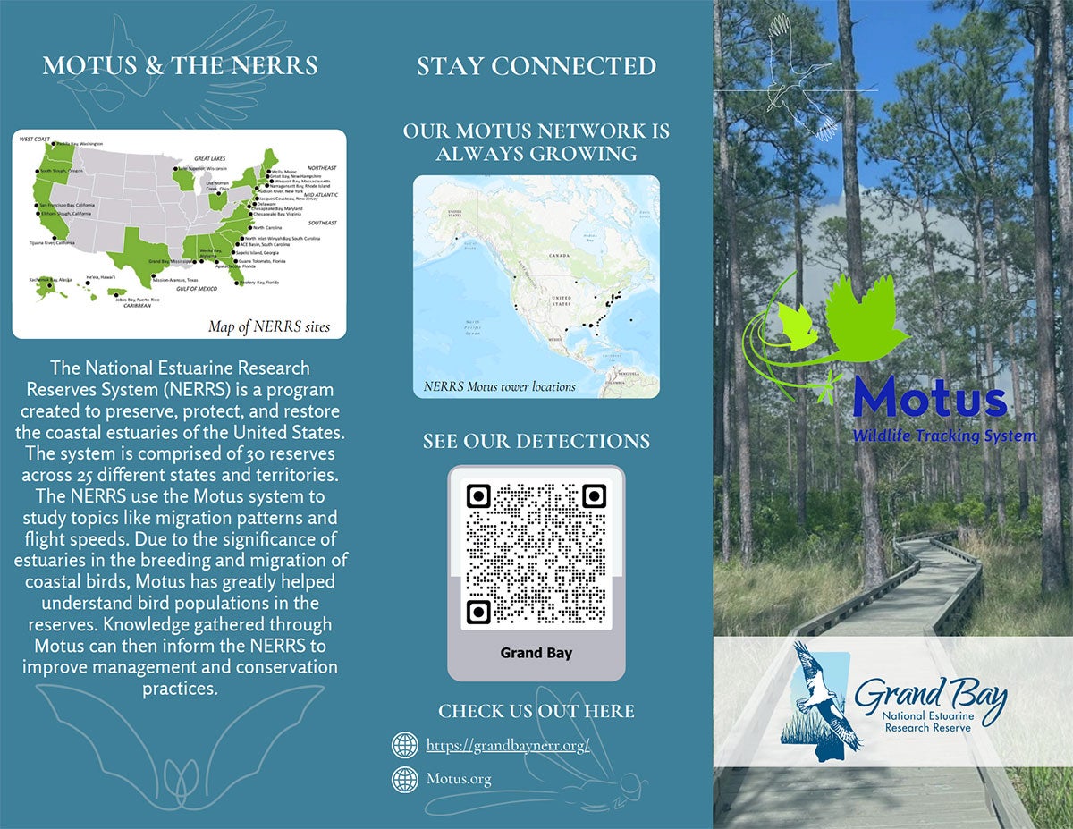 Interpretive Materials for Motus Stations | NERRS Science Collaborative