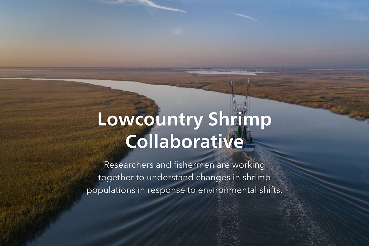 Lowcountry Shrimp Collaborative StoryMap | NERRS Science Collaborative