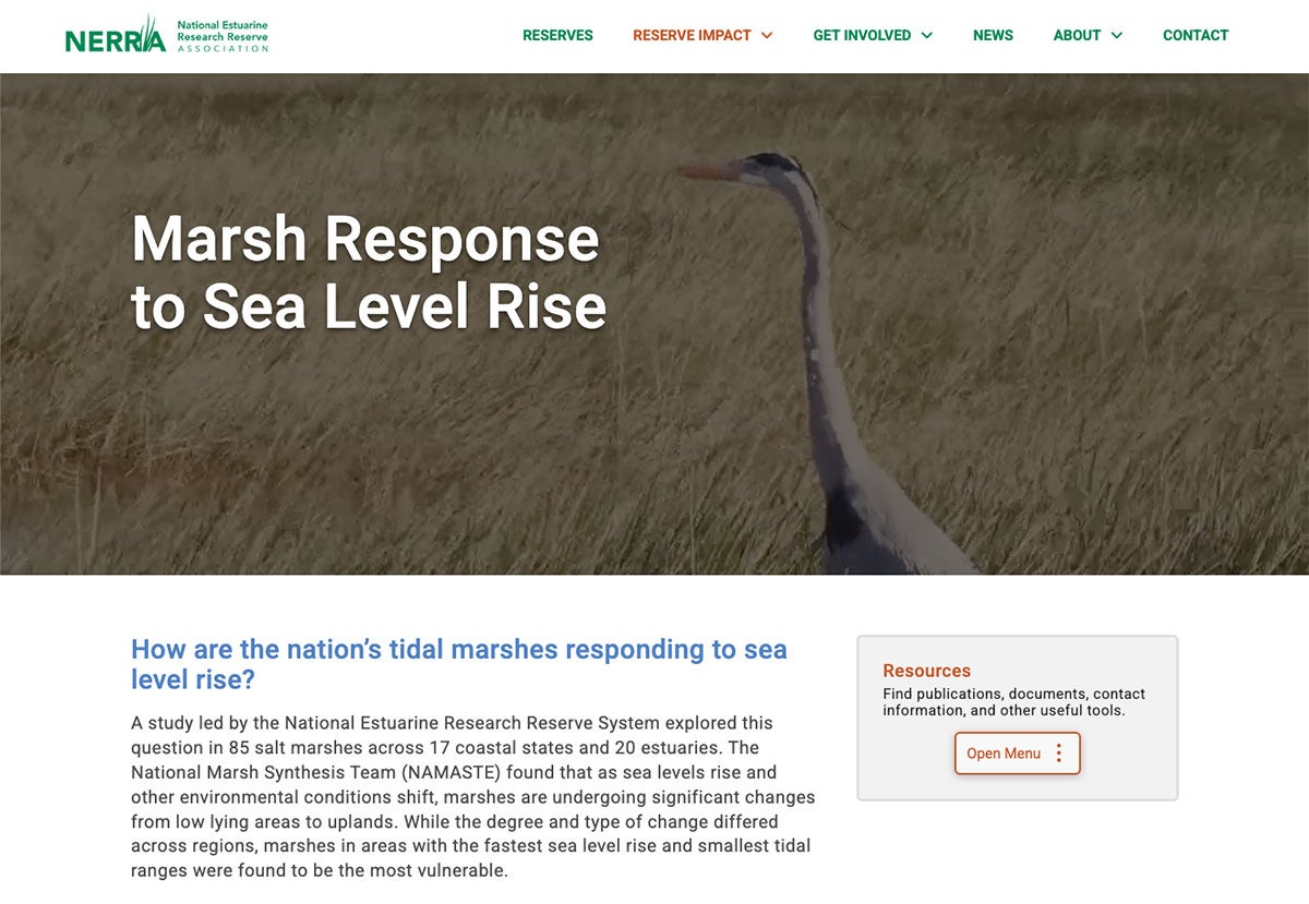 NERRA Webpage: Marsh Response to Sea Level Rise | NERRS Science ...