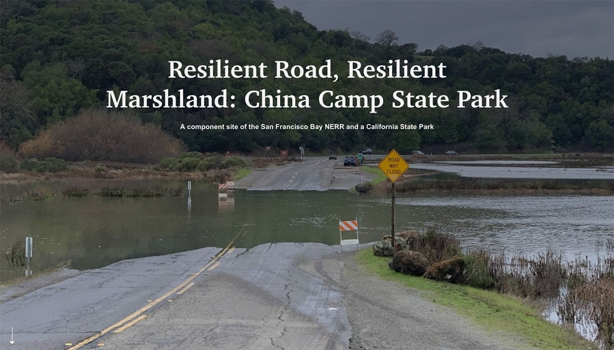 Resilient Road, Resilient Marshland: China Camp State Park StoryMap ...