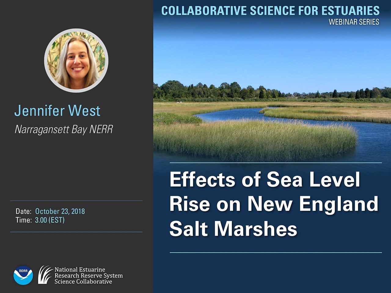 Effects of Sea Level Rise on New England Salt Marshes | NERRS Science ...