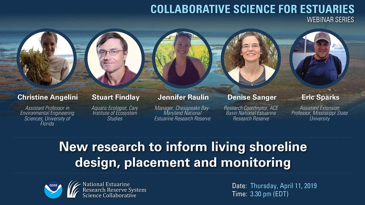 New Research to Inform Living Shoreline Design, Placement and ...