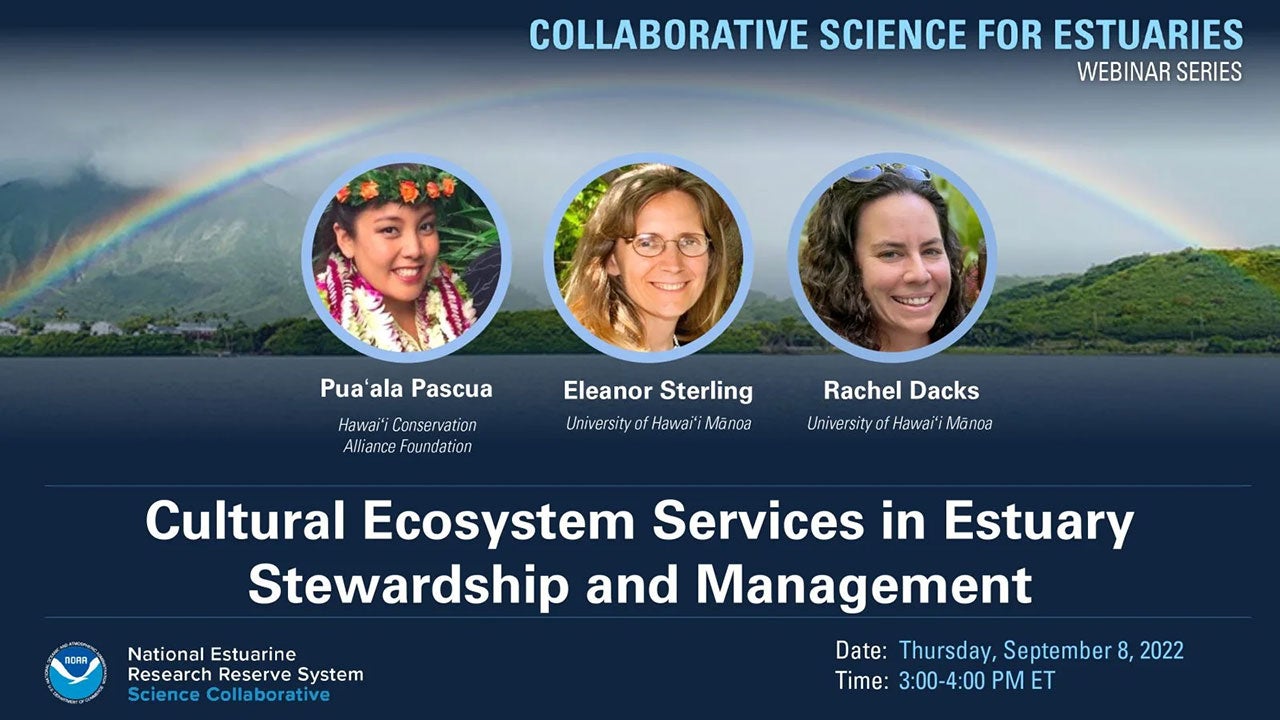 Cultural Ecosystem Services in Estuary Stewardship and Management ...