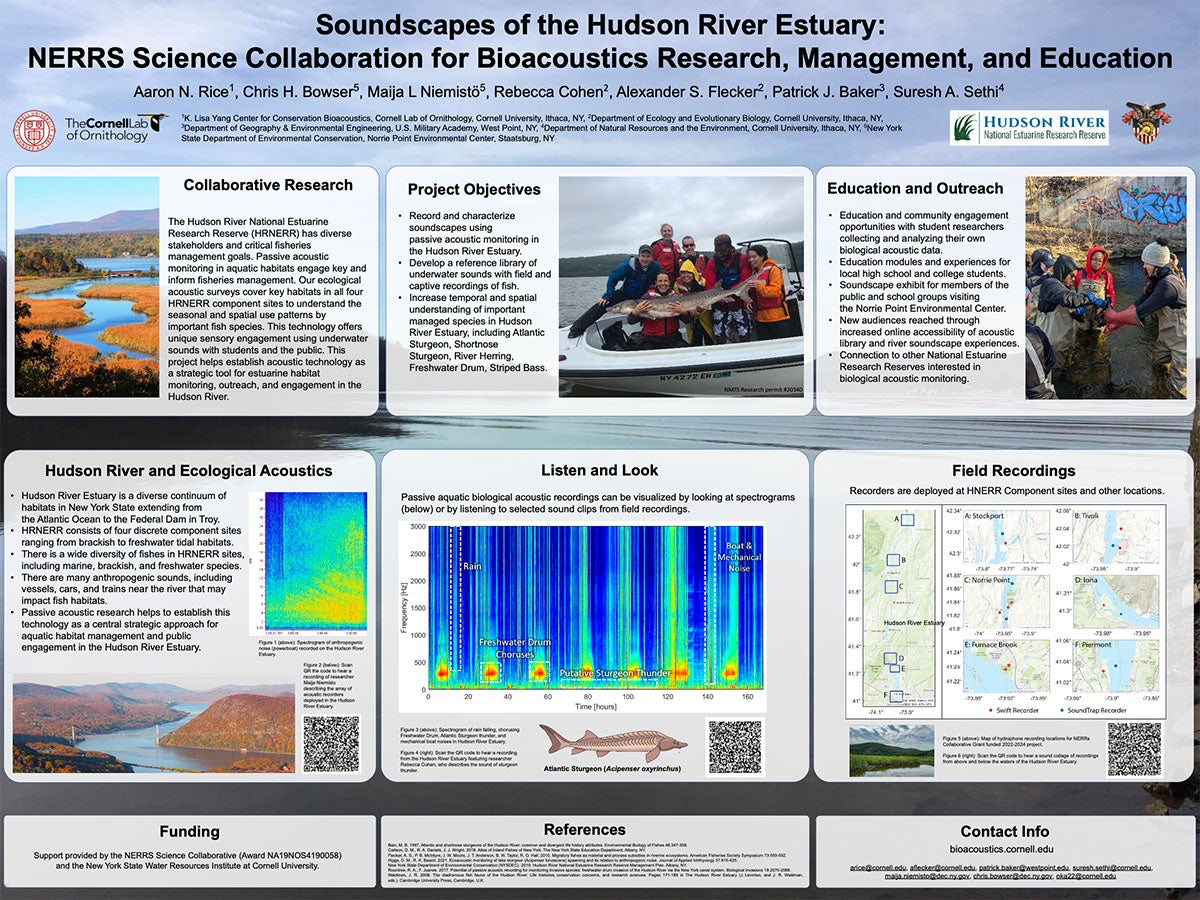 Poster: Soundscapes of the Hudson River Estuary | NERRS Science ...